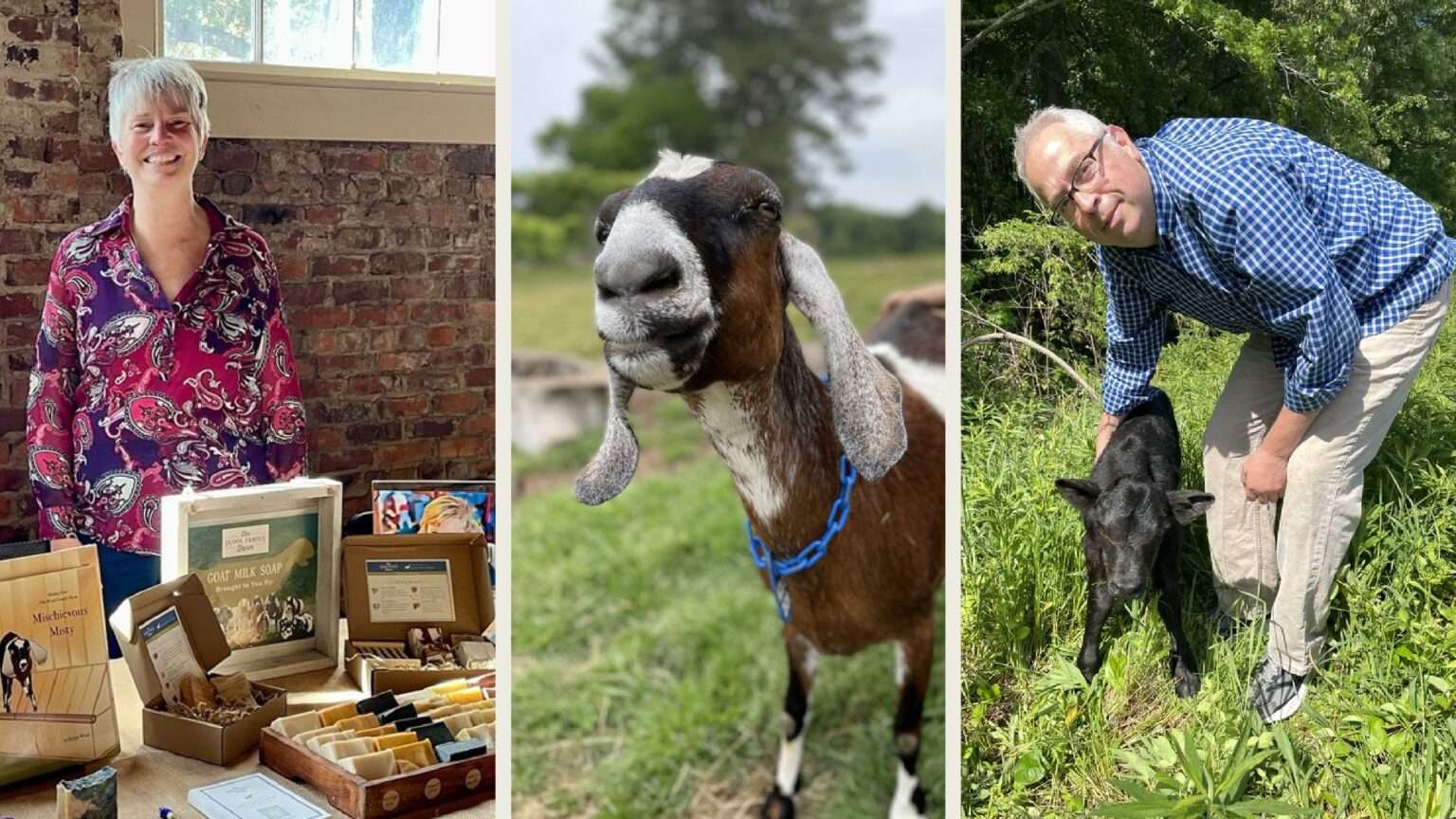 About Us — The Wool Family Farm